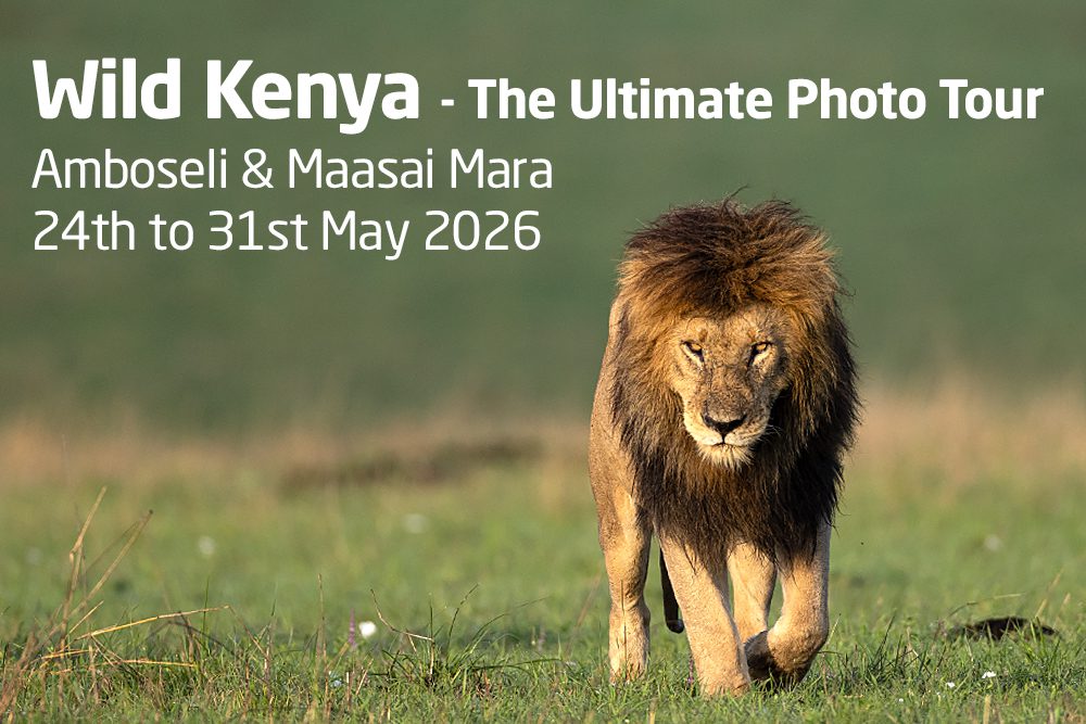 Wild Kenya - The Best African Photo Tour | The Outback Experience